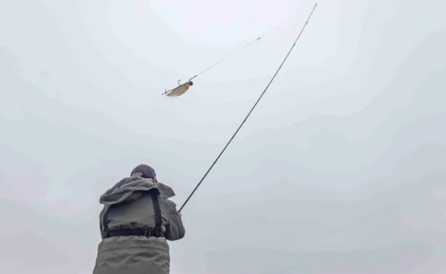 Choosing the Perfect Fishing Rod: A Guide for Anglers – TechLibro